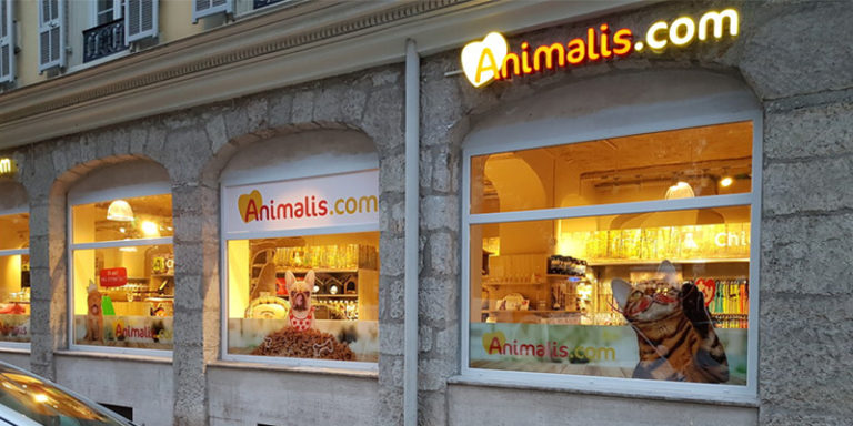 Animalis : Ma boutique préférée pour chats | Le Chat Moderne