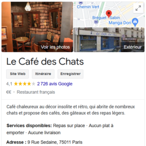 [TOP 15] Les meilleurs bars à chats en France ! | Le Chat Moderne
